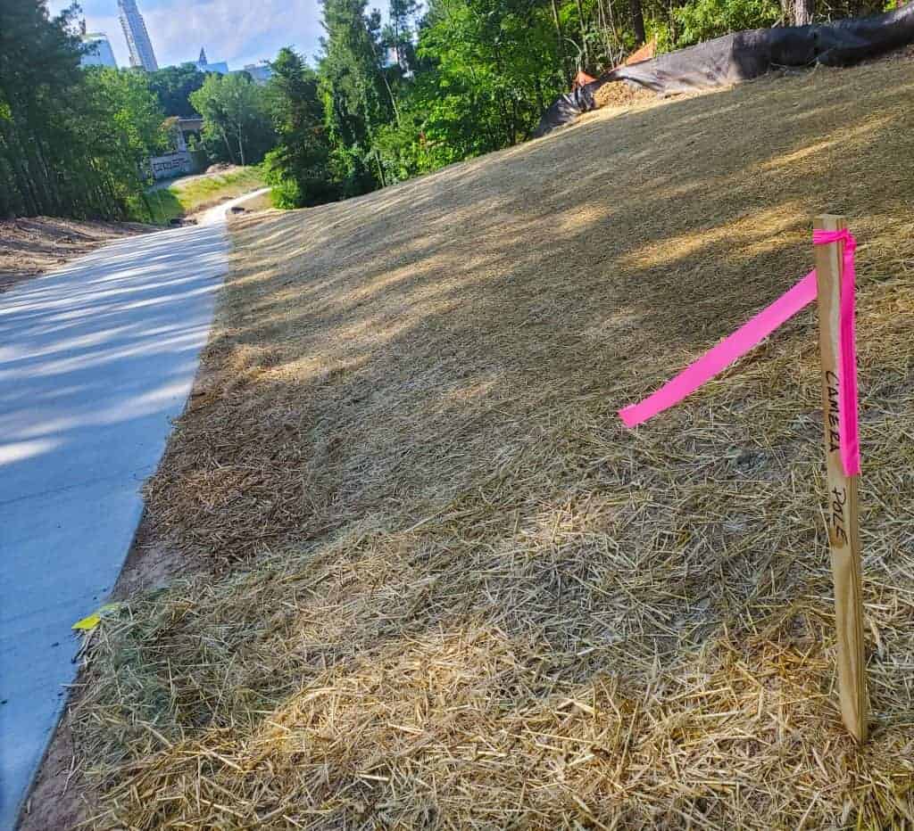 APD – Security Camera Integration – Livable Buckhead