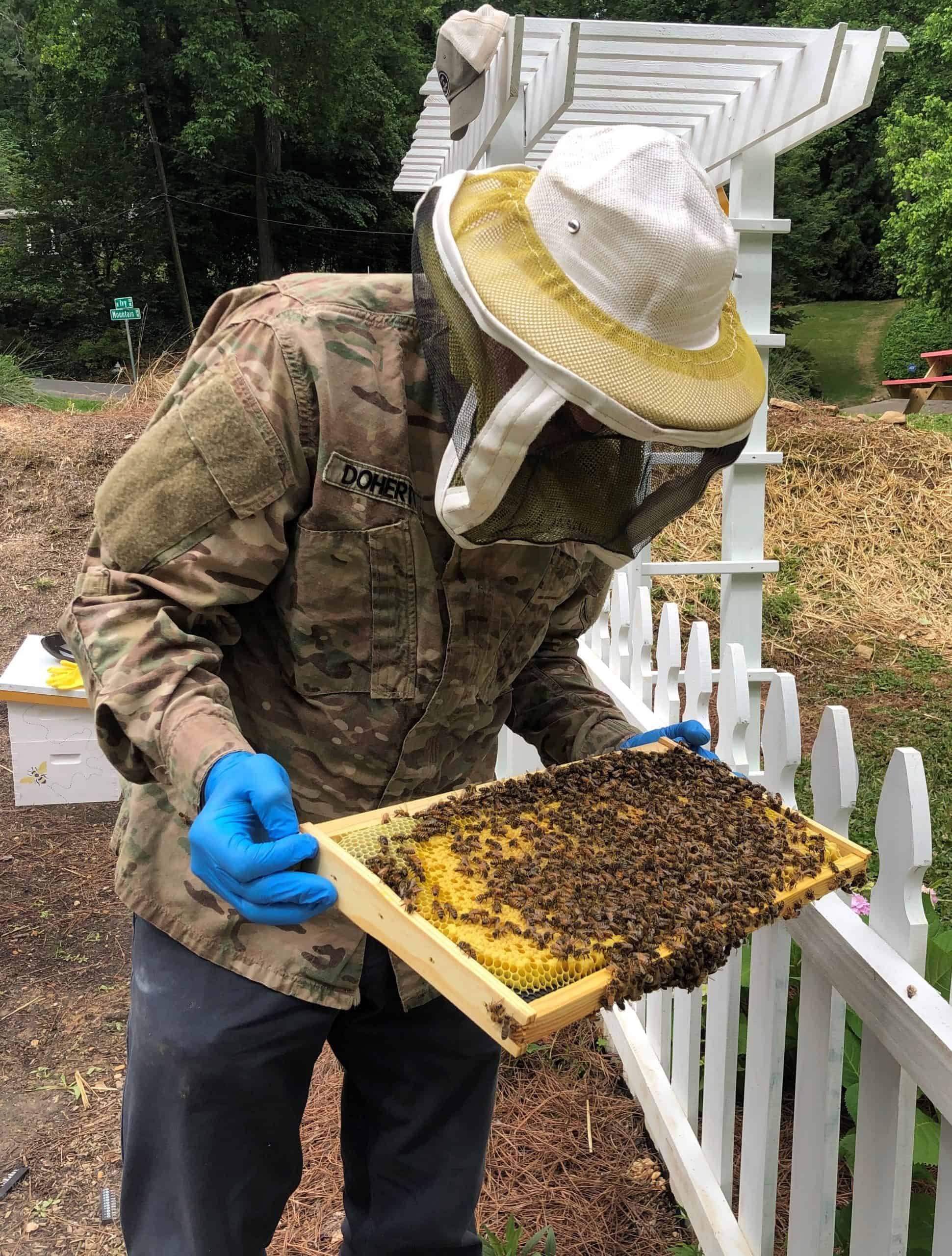 “Bee” a good neighbor to your nearby honeybees – Livable Buckhead